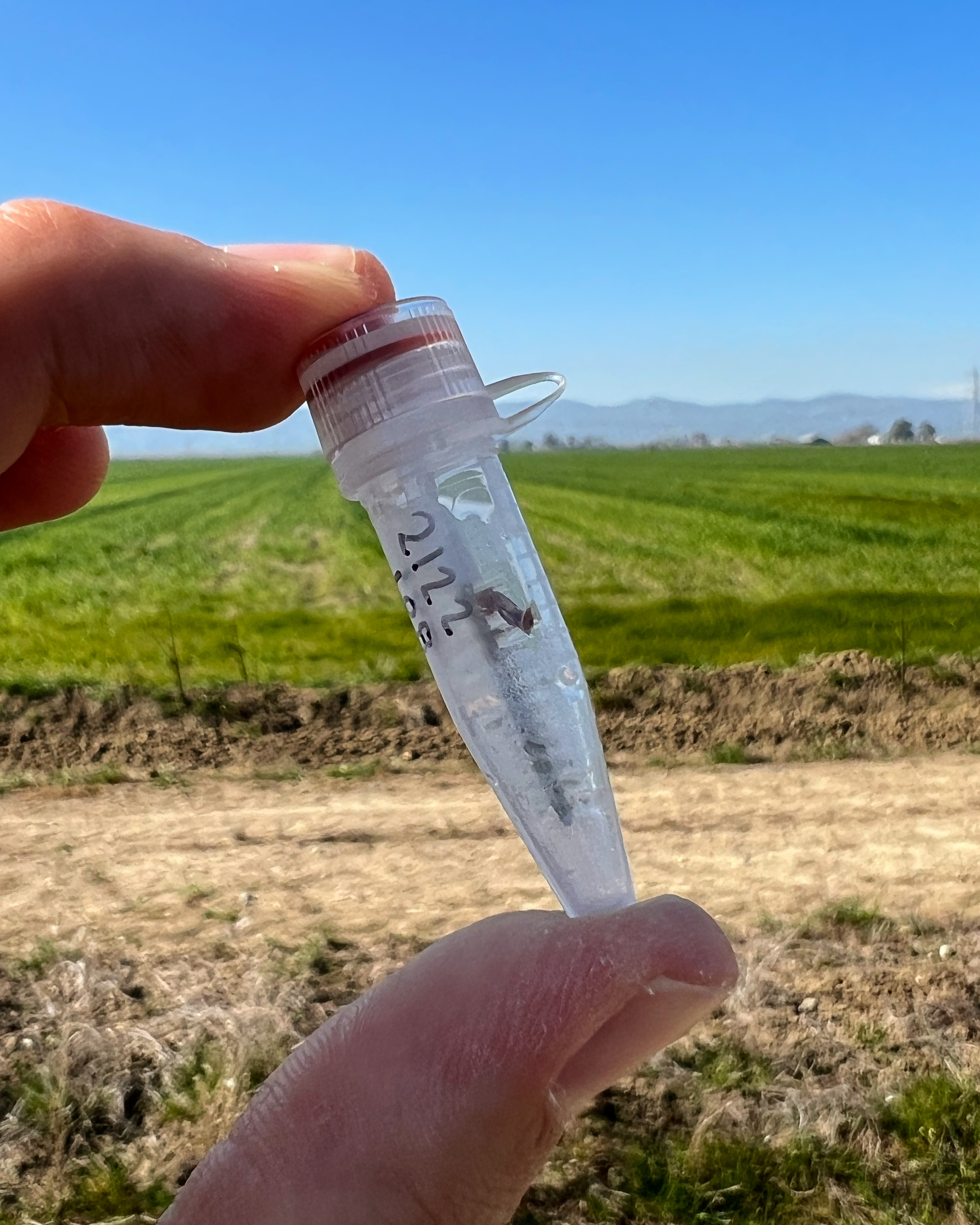 Update from the field! | Experiment