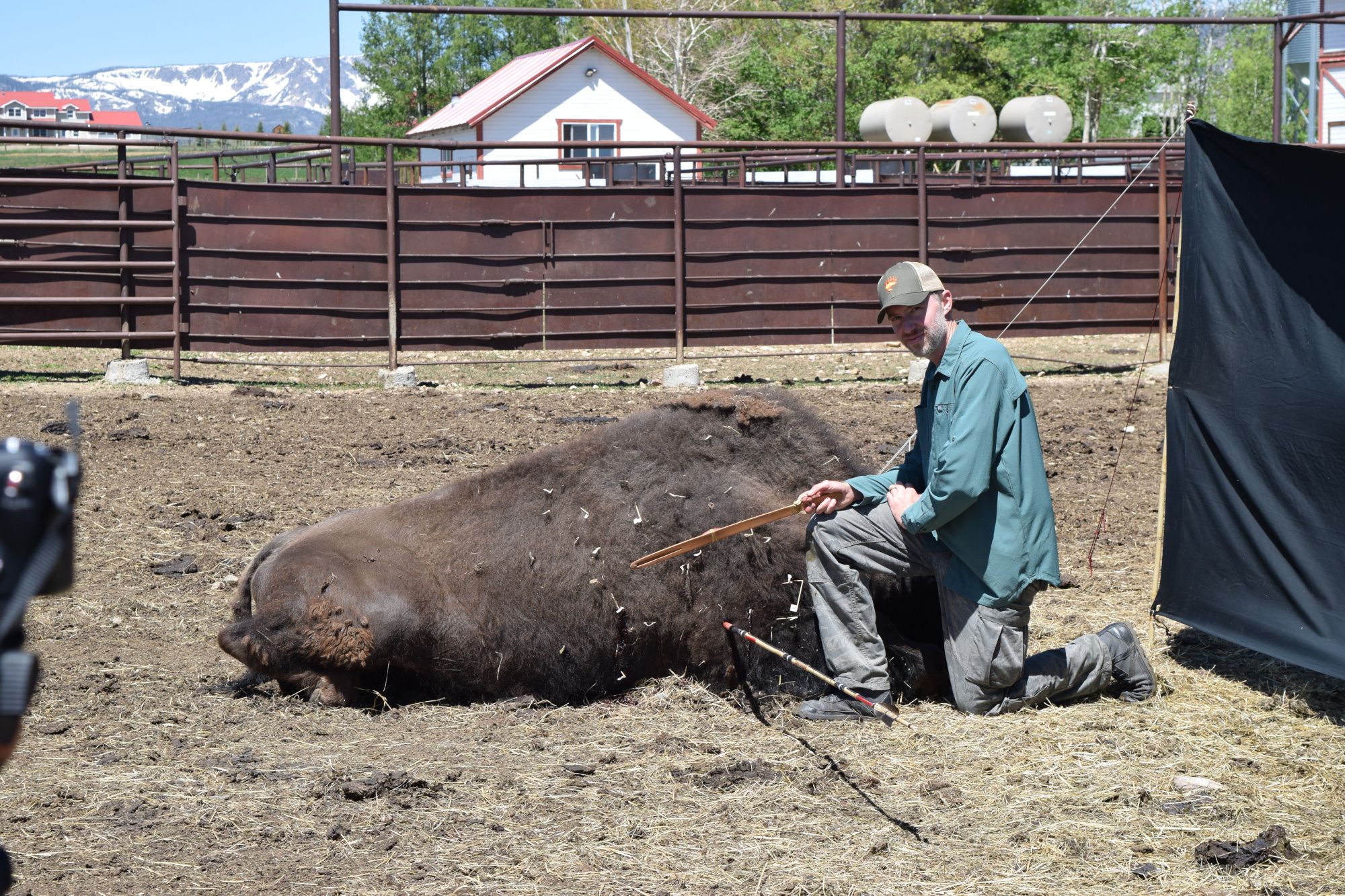 Bison Experiment 2: A summary of interesting results | Experiment