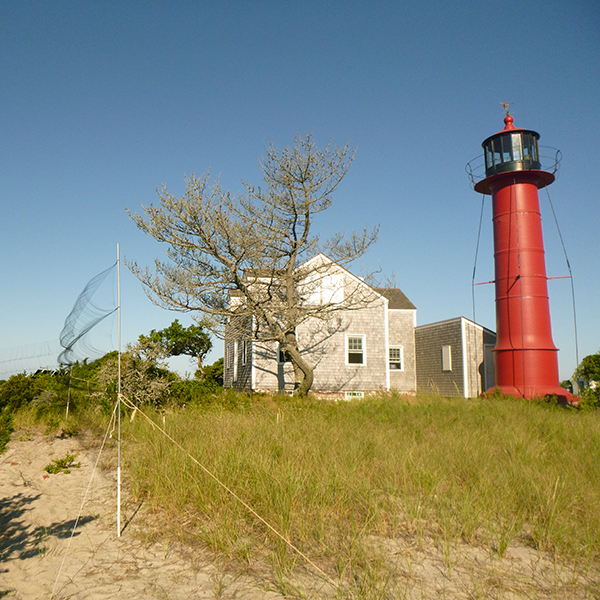 Living at the Lighthouse | Experiment