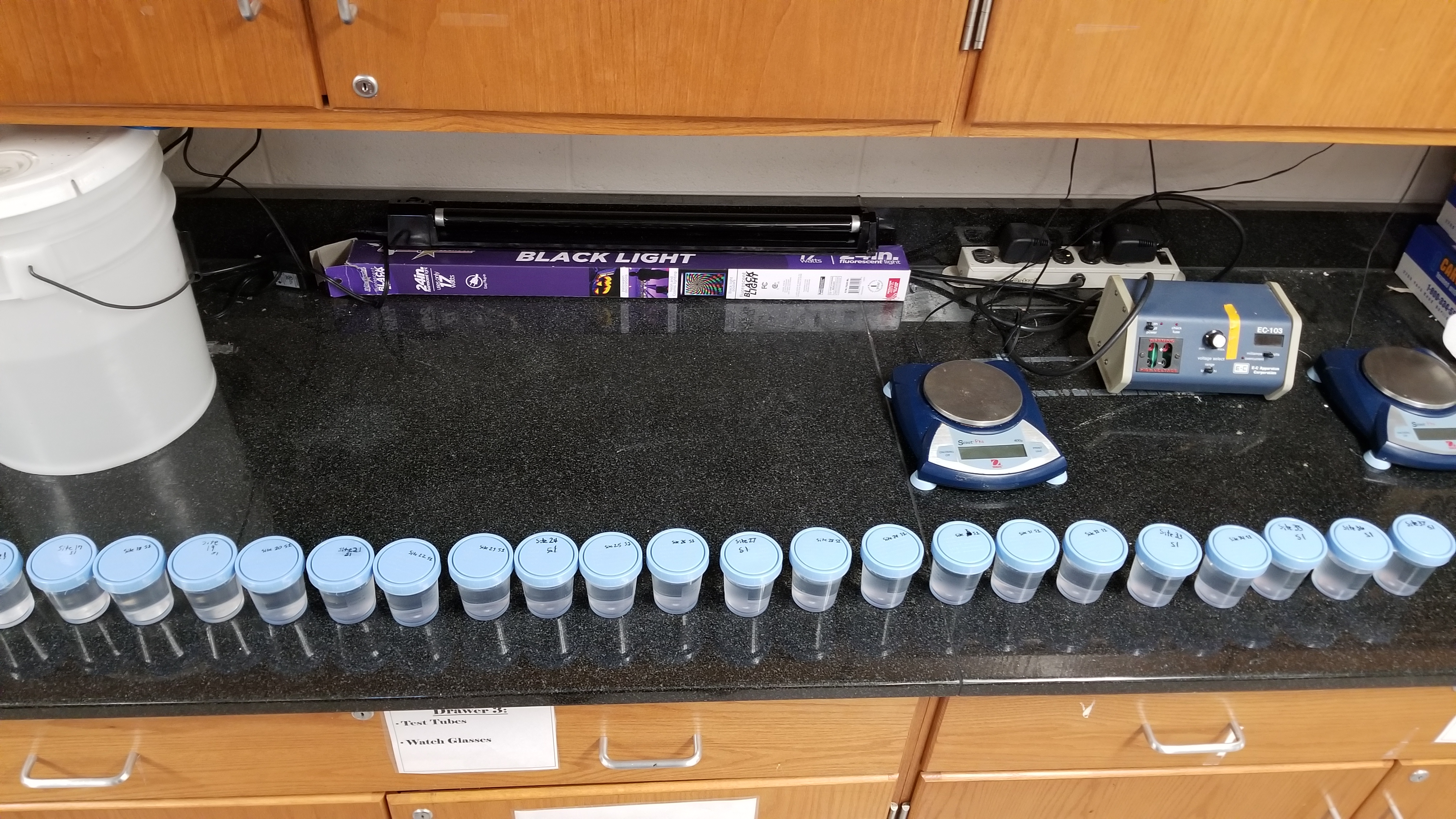 22 Samples Obtained: | Experiment