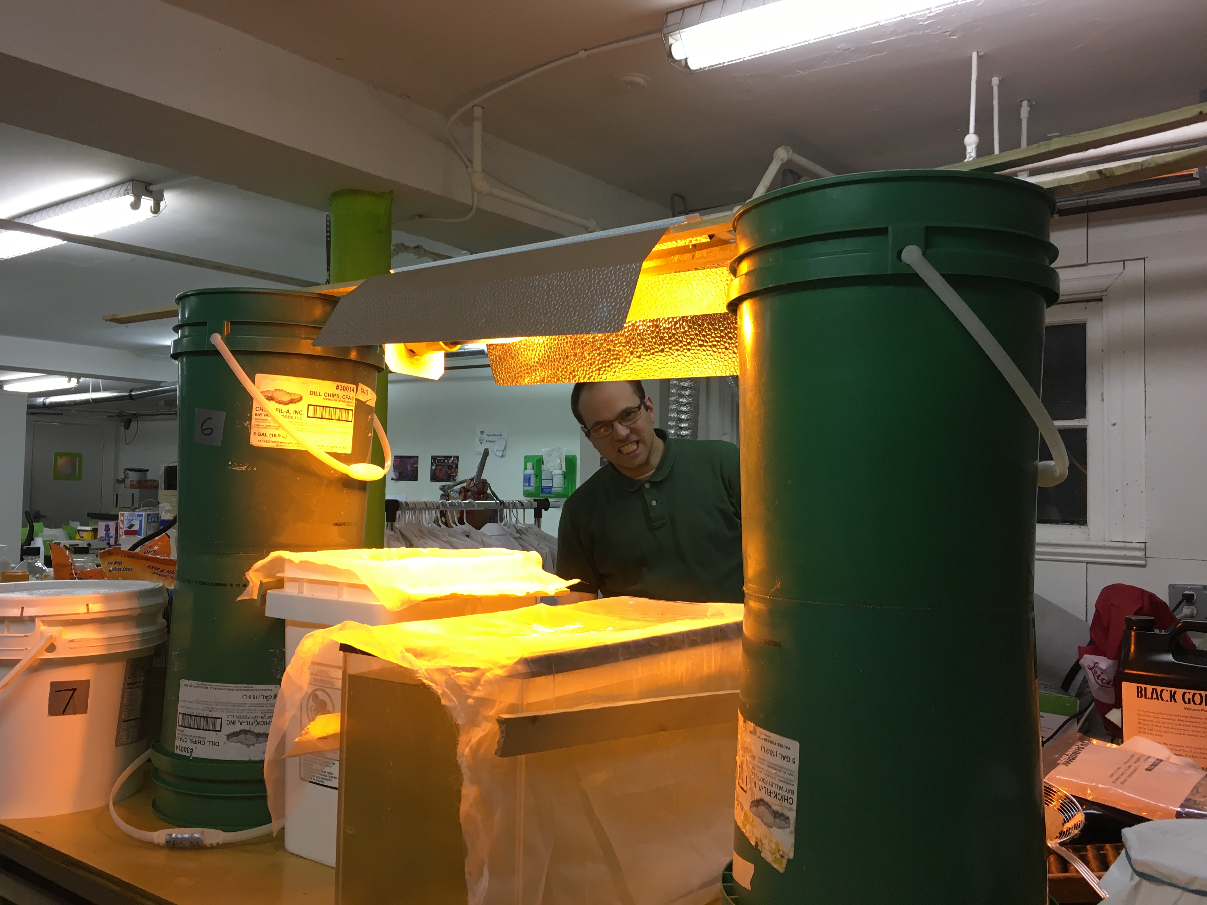 Progress so far... | Experiment