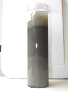 DIY Bacterial Communities: Make your own Winogradsky columns for a fun ...