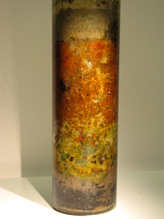 DIY Bacterial Communities: Make your own Winogradsky columns for a fun ...