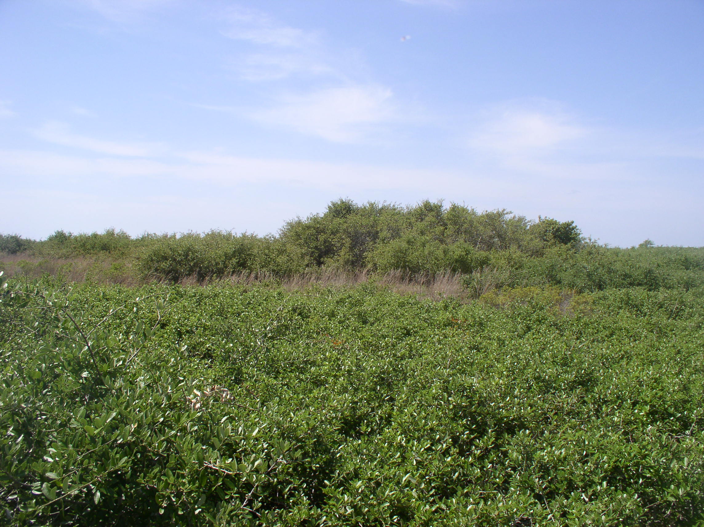 The Powderhorn Ranch | Experiment