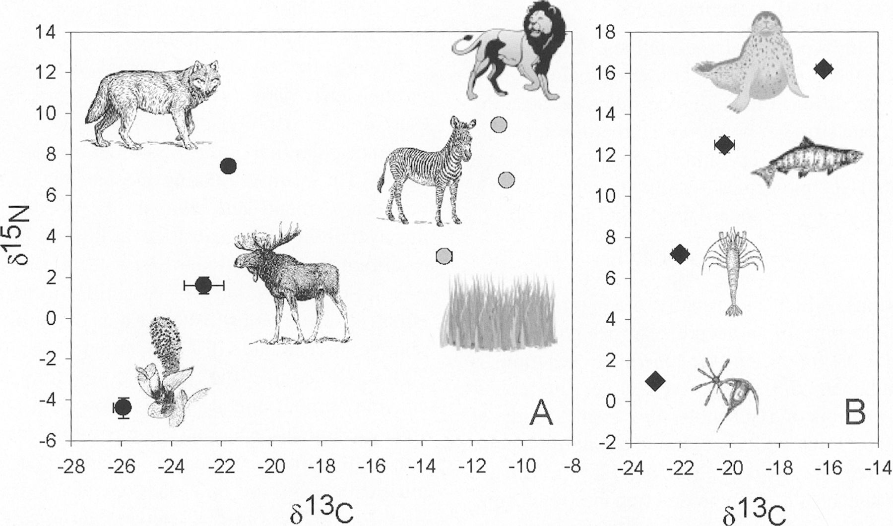 Food Webs via Stable Isotopes | Experiment