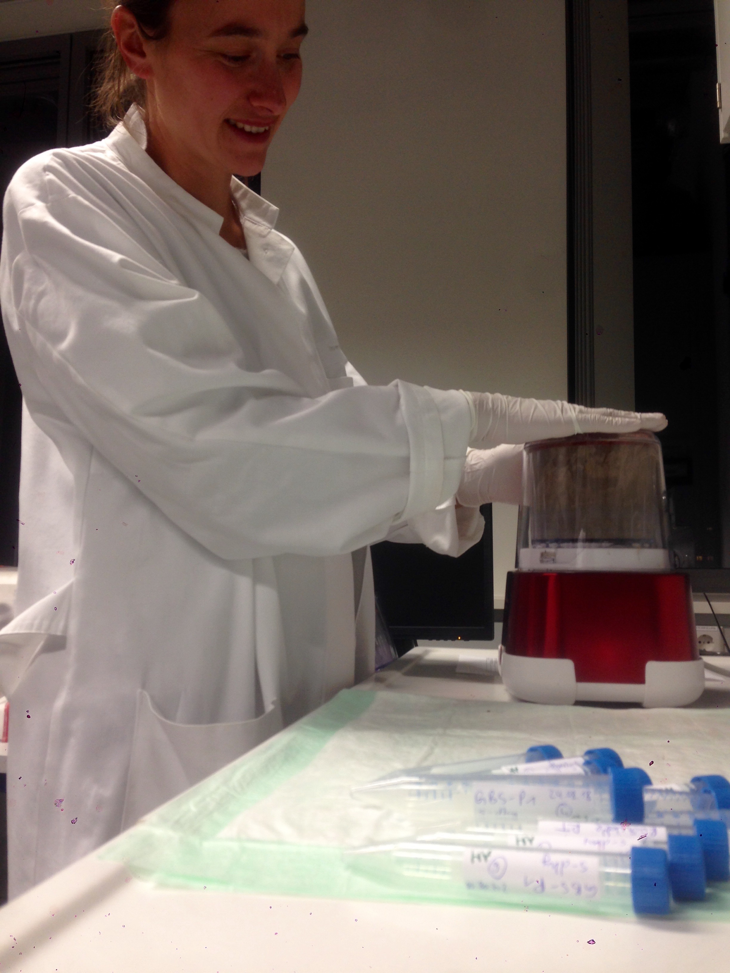 Test Run | Experiment