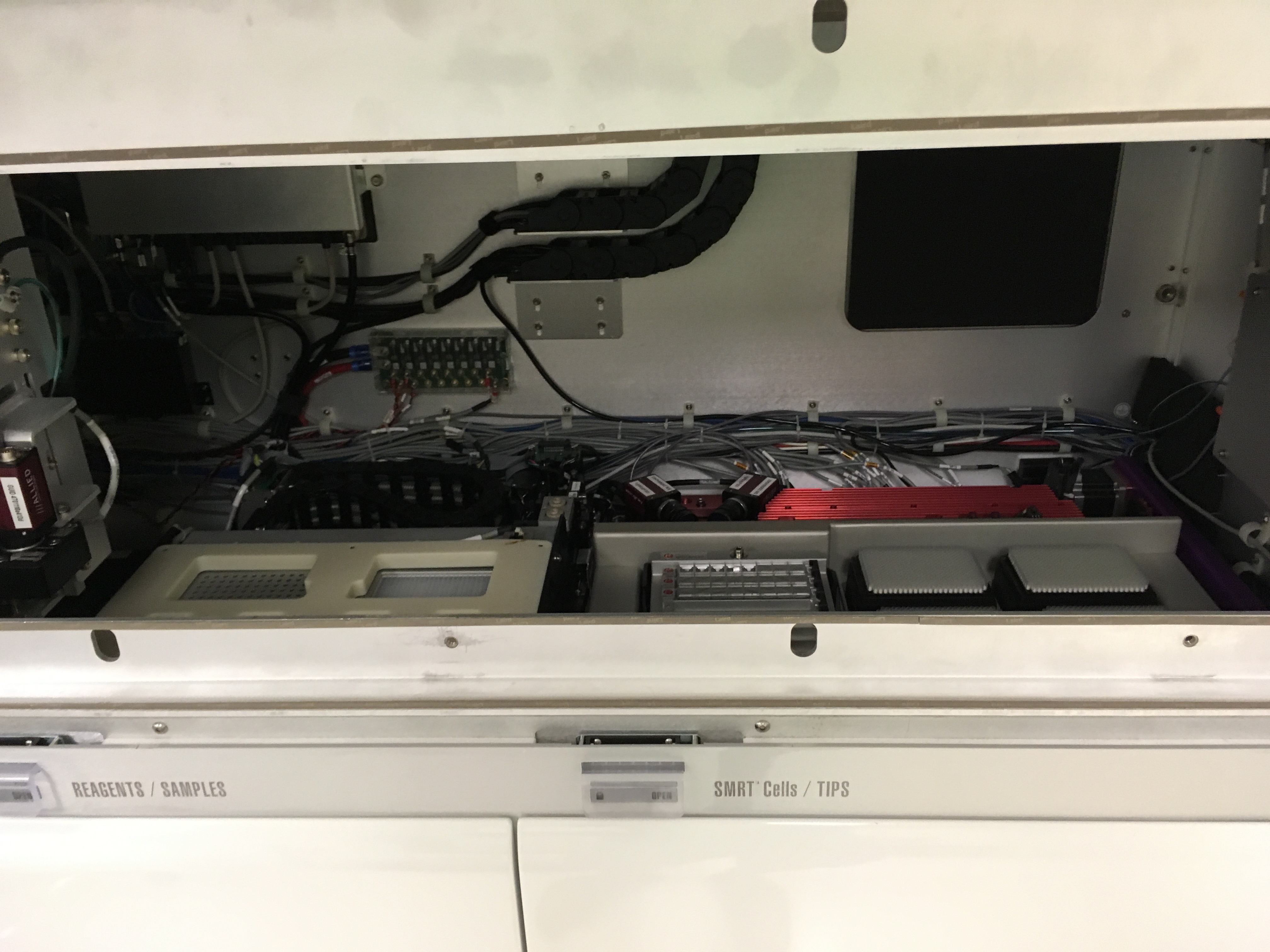 DNA submitted for sequencing! | Experiment