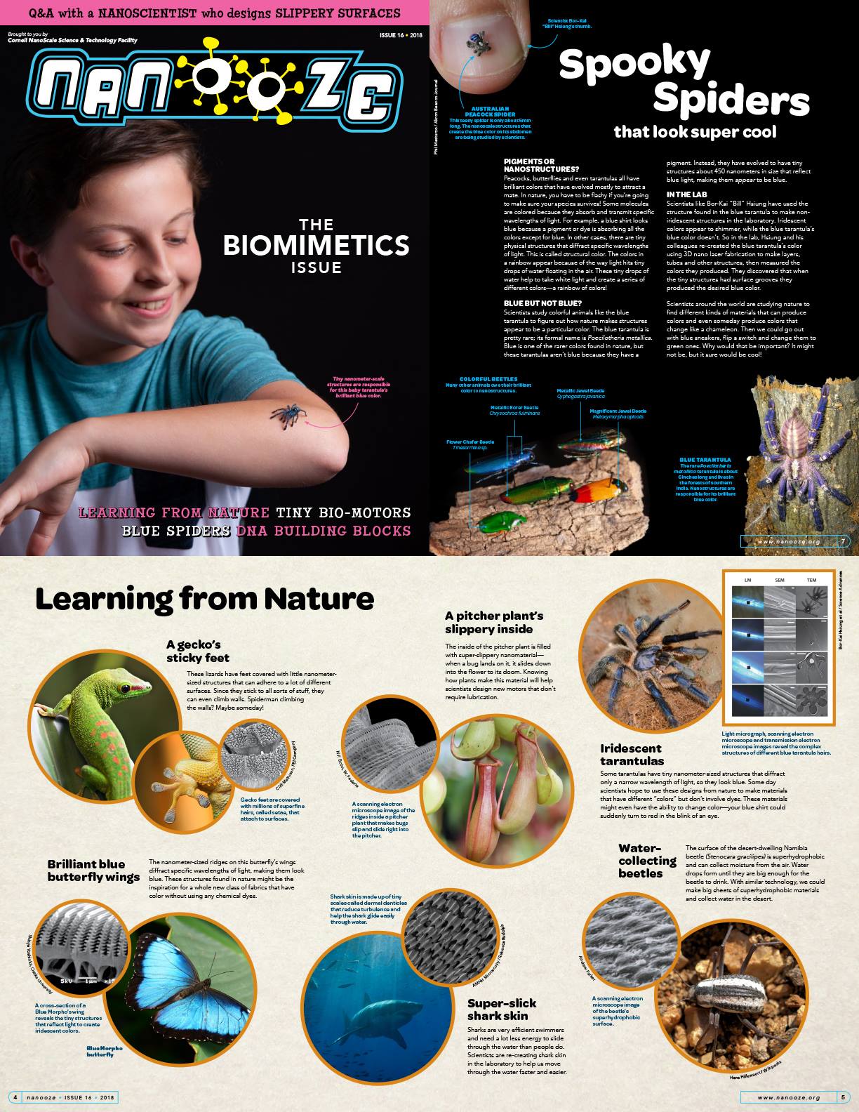 Kid's science magazine mention | Experiment