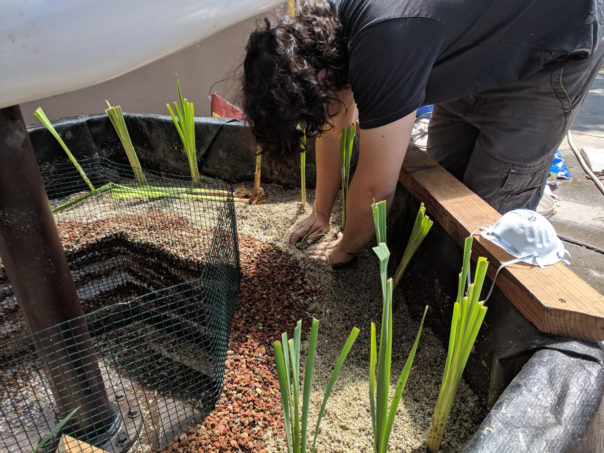 Wastewater Test Results & SeedInvest! | Experiment