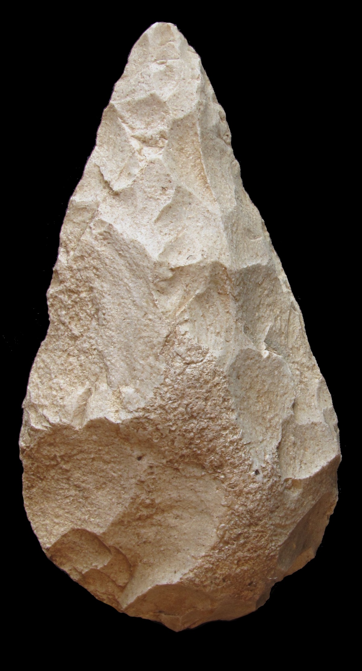 Capuchin stone tools and the importance of human stone tool shaping ...